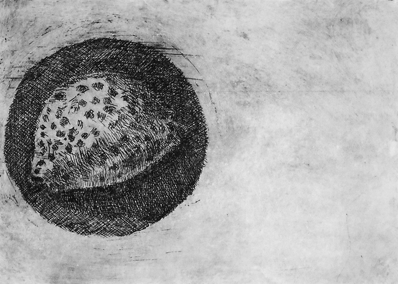 Andrea Biagi - pittura, Amicucci Galleria d'Arte